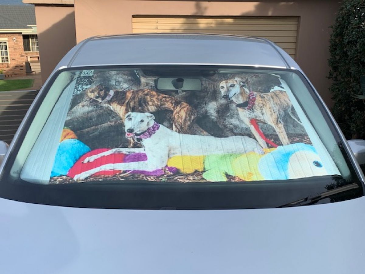 Custom Personalized Car Sun Shade | Window Shield with Logo, Text or ...