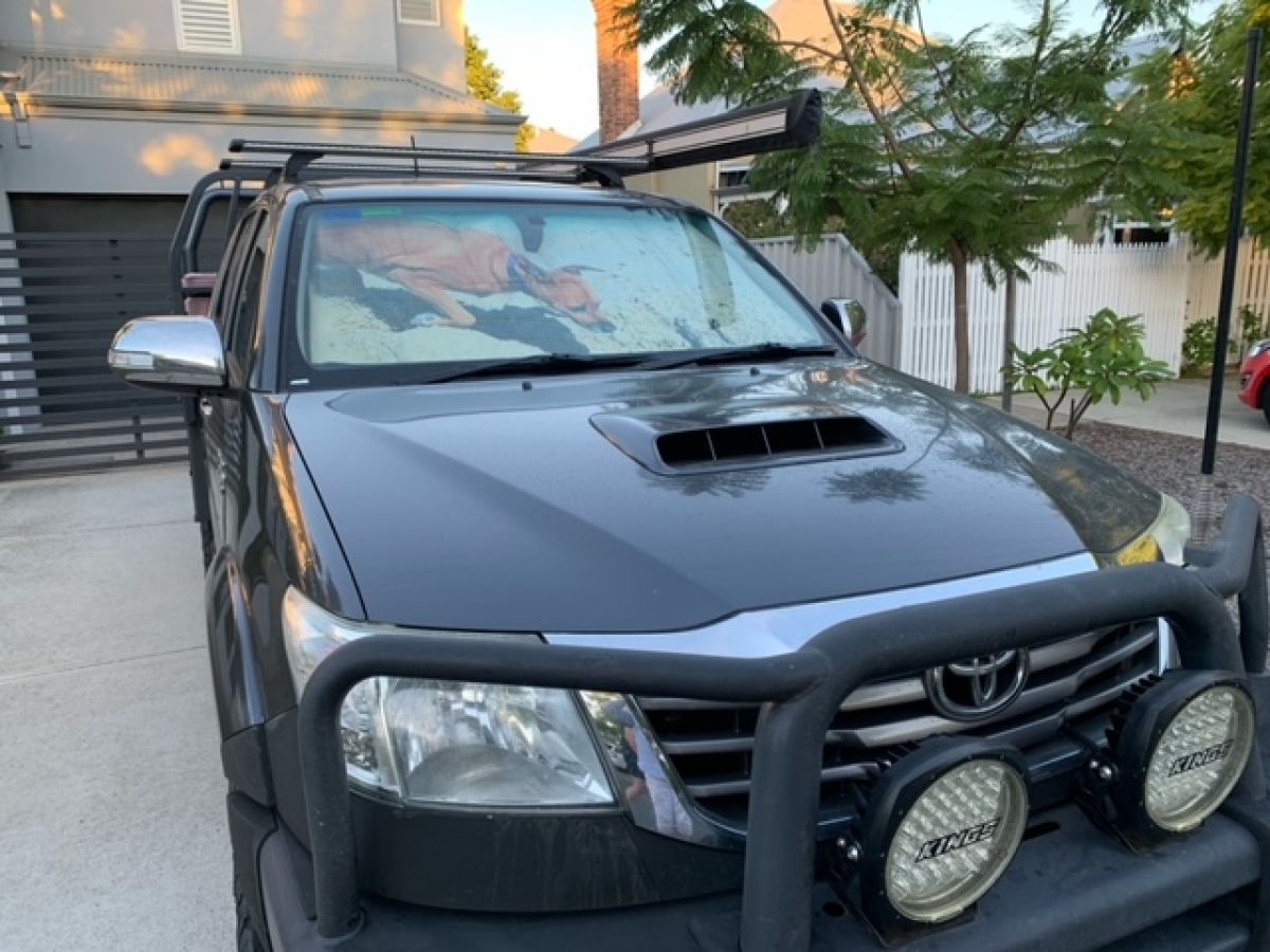 Custom Personalized Car Sun Shade | Window Shield with Logo, Text or ...