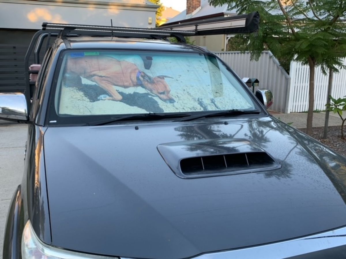 Custom Personalized Car Sun Shade | Window Shield with Logo, Text or ...