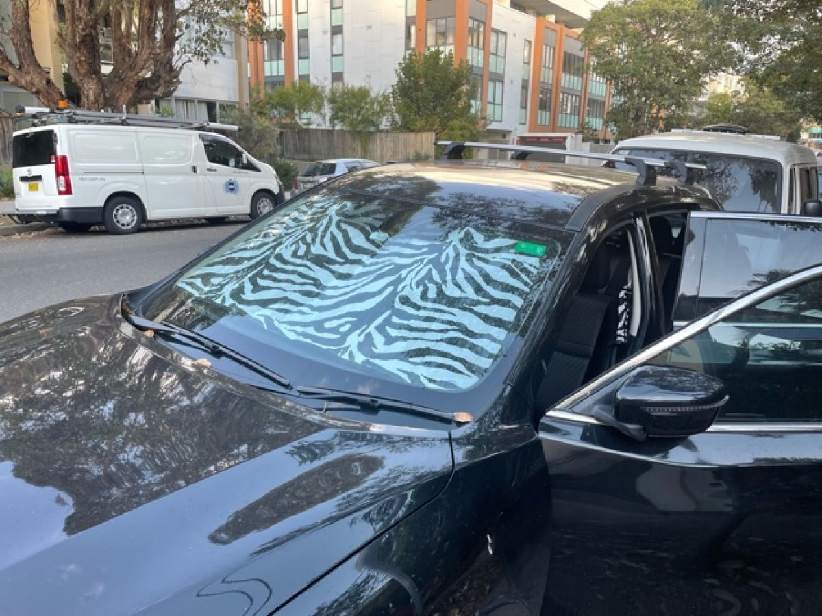 Custom Personalized Car Sun Shade | Window Shield with Logo, Text or ...